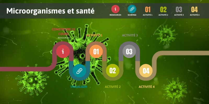 Chapitre 4 : les microorganismes et notre corps