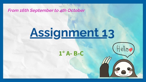 assignment 13 1st year