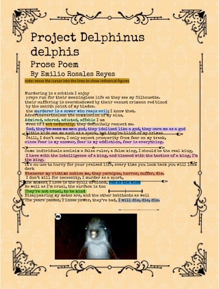 Project Delphinus delphis