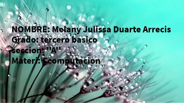 melany julissa duarte arrecis