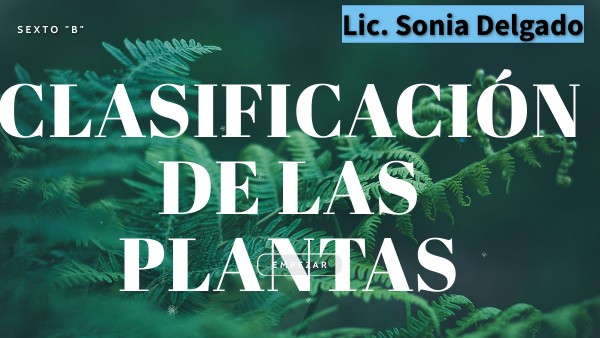 PLANTAS SIN FLOR