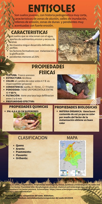 ENTISOLES | Genially