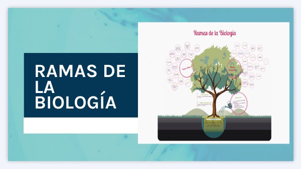 RAMAS DE LA BIOLOGÍA