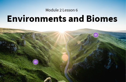 Module 2 Lesson 6 Overview and Outline | Genially