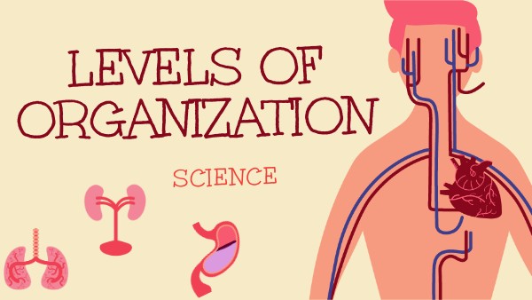 LEVELS OF ORGANIZATION 6TH GRADE | Genially