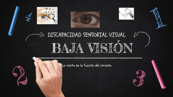 DISCAPACIDAD VISUAL, BAJA VISION