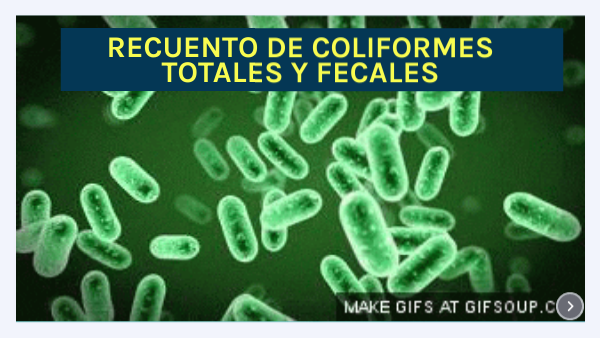 RECUENTO DE COLIFORMES FECALES Y TOTALES | Genially