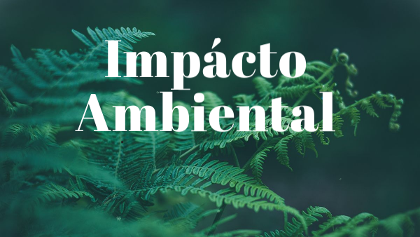 IMPACTO AMBIENTAL. | Genially