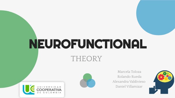 Neurofunctional theory