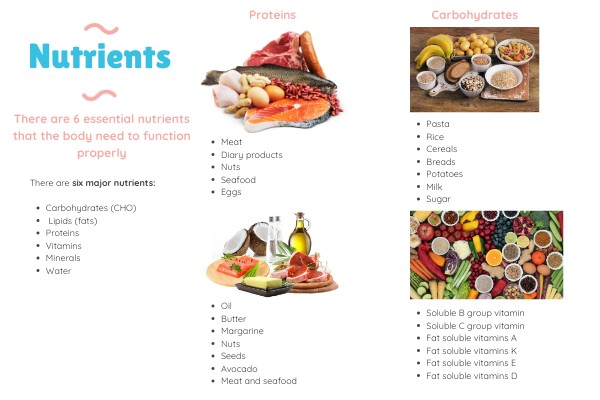 Nutrients | Genially