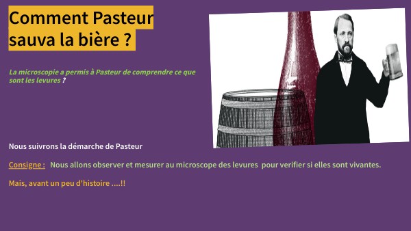 Copie - Copie - BASIC PRESENTATION | Genially