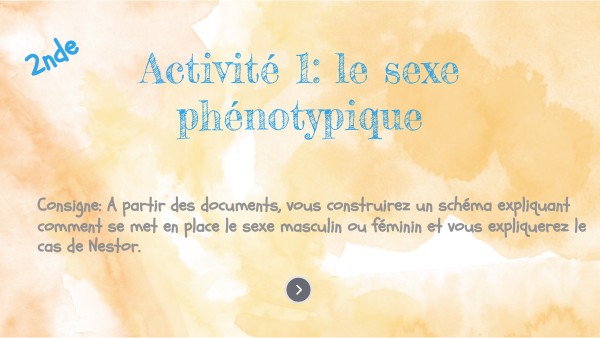 Th3/chap 1/activité 1/ 2nde