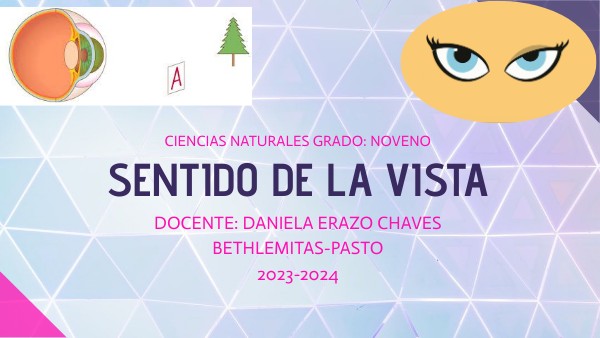 SENTIDO DE LA VISTA: GRADO NOVENO | Genially