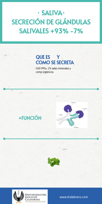 SALIVA UGC FISIOLOGÍA 1 | Genially