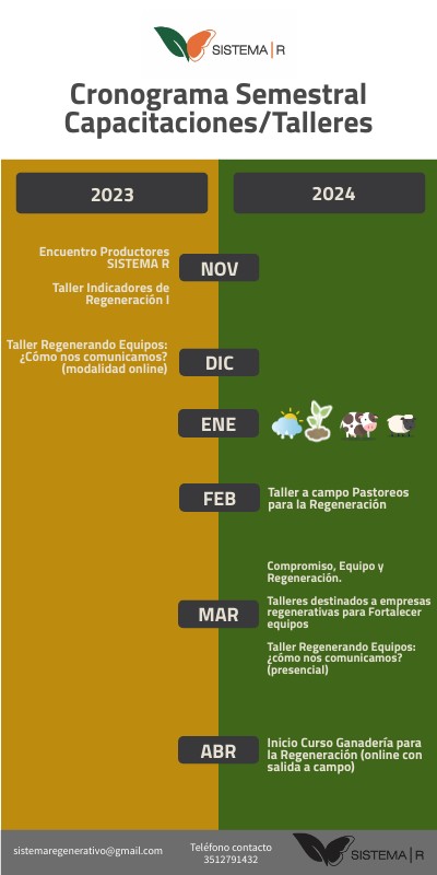 Cronograma Semestral Sistema | R