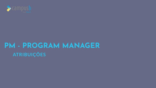 PM - Program Manager