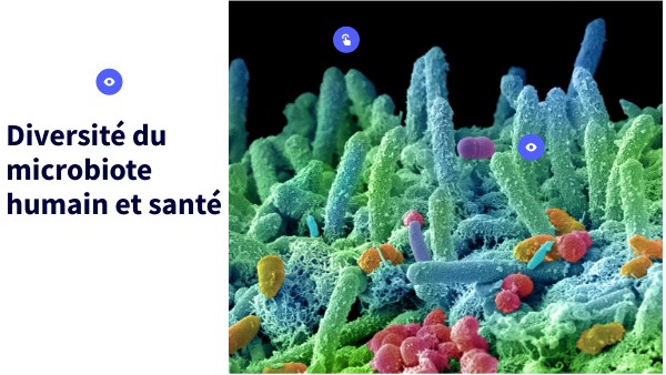 Activité 3 : Microbiote et santé