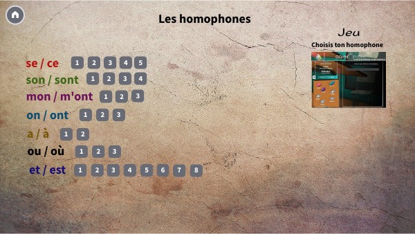 Les homophones | Genially