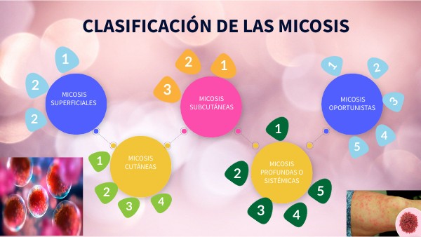 Clasificación de las micosis | Genially