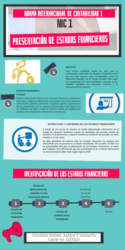 INFOGRAFÍA SOBRE LA NIC 1 | Genially