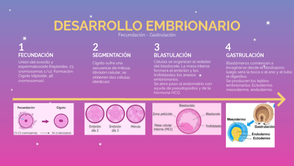 BIOLOGY TIMELINE HORIZONTAL | Genially