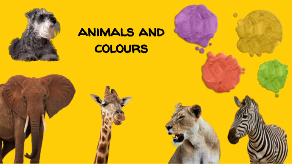 MEMOTEST. COLOURS & ANIMALS