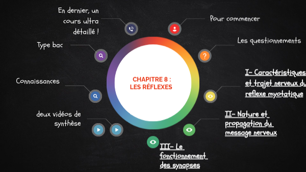 Chapitre 8 réflexes | Genially