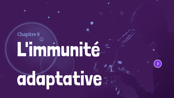 Ch 8 immunité adaptative | Genially
