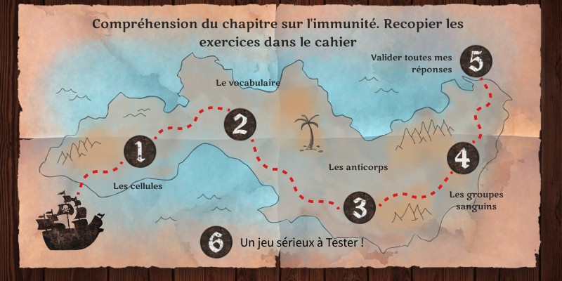 Révisions immuno 3e | Genially