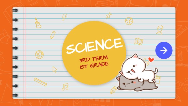 THIRD TERM 1ST | Genially