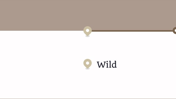 WILD TRAILER