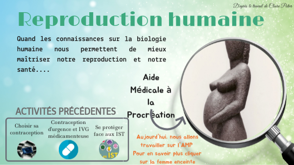 AMP (chapitre 3 : La reproduction humaine) en classe | Genially