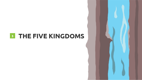 3. FIVE KINGDOMS