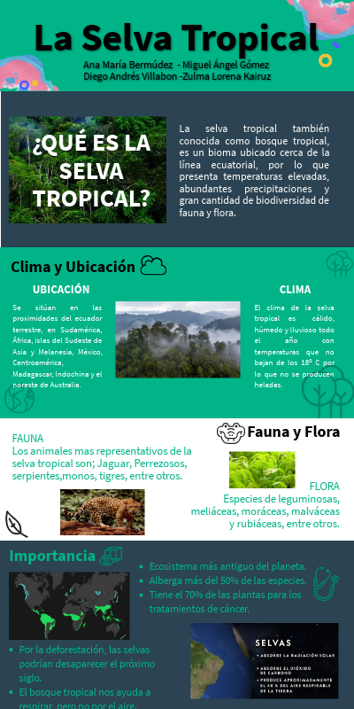 Infografía Selvas Tropicales. | Genially
