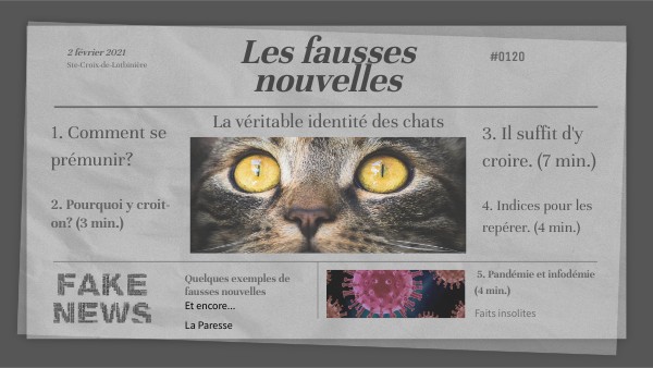 fausse nouvelle