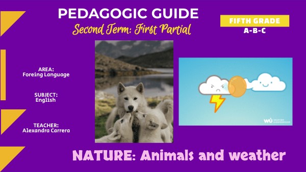 PEGAGOGIC GUIDE FIFTH GRADE | Genially