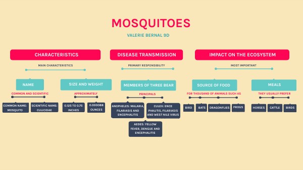 CONCEPT MAP MOSQUITOES