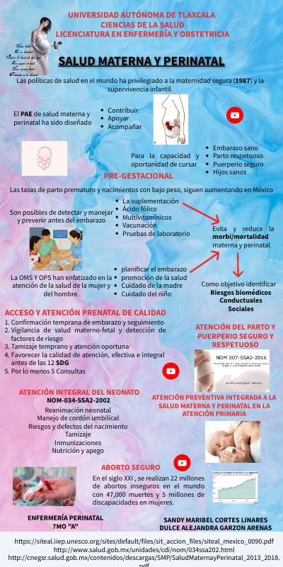 SALUD MATERNO Y PERINATAL | Genially