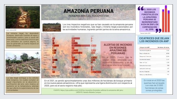 Amazonía Peruana | Genially