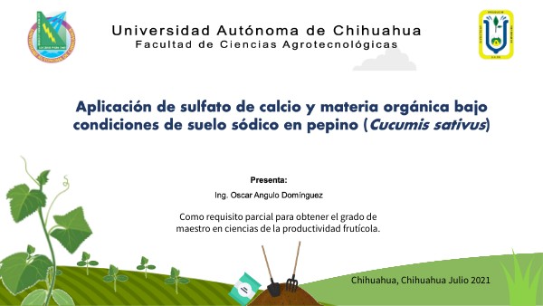 Oscar Angulo Dominguez