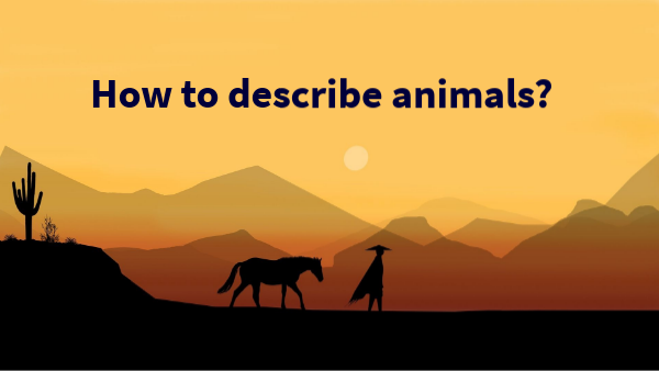 Klasa 2 How to describe animals
