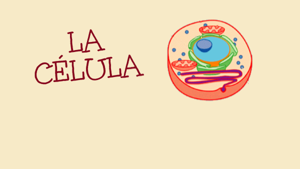 LA CELULA Y SUS CLASES | Genially
