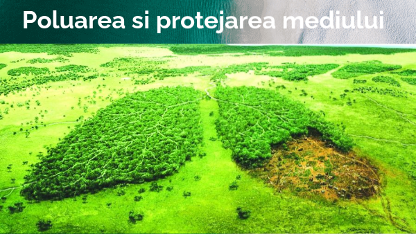 Poluarea și protejarea mediului | Genially