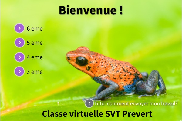 SVT Mr TROUCHE | Genially