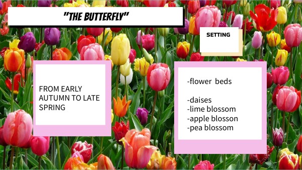 The butterfly | Genially