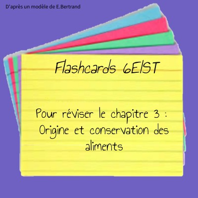 flashcards 6EIST Chap 3 | Genially