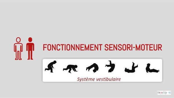 FONCTIONNEMENT SENSORIEL