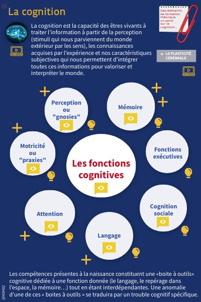 Fonctions cognitives et troubles - Stage FF et BGD - Stage FF et BGD | Genially