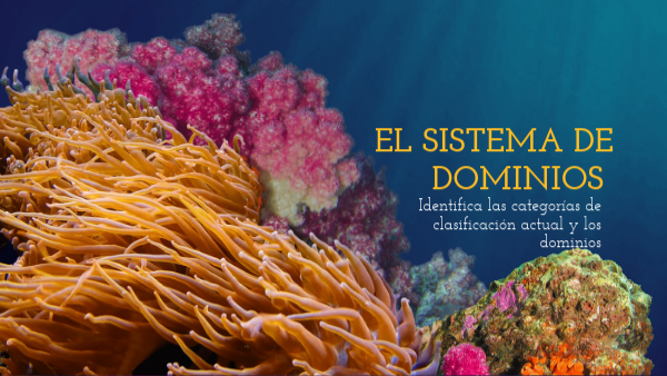 dominios 6ab 6 y 9 septiembre | Genially
