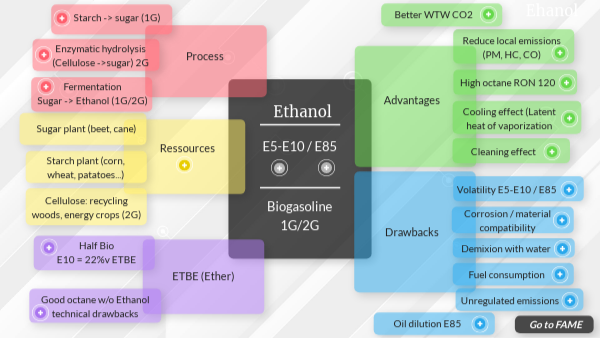Summary Biofuels | Genially